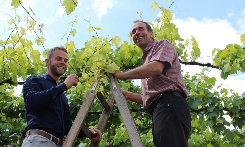 Speisekarte der Weinstube Dobler – Weingut Dobler